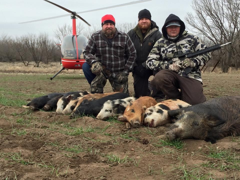Texas Helicopter Hog Hunt - Gerhart Outdoors
