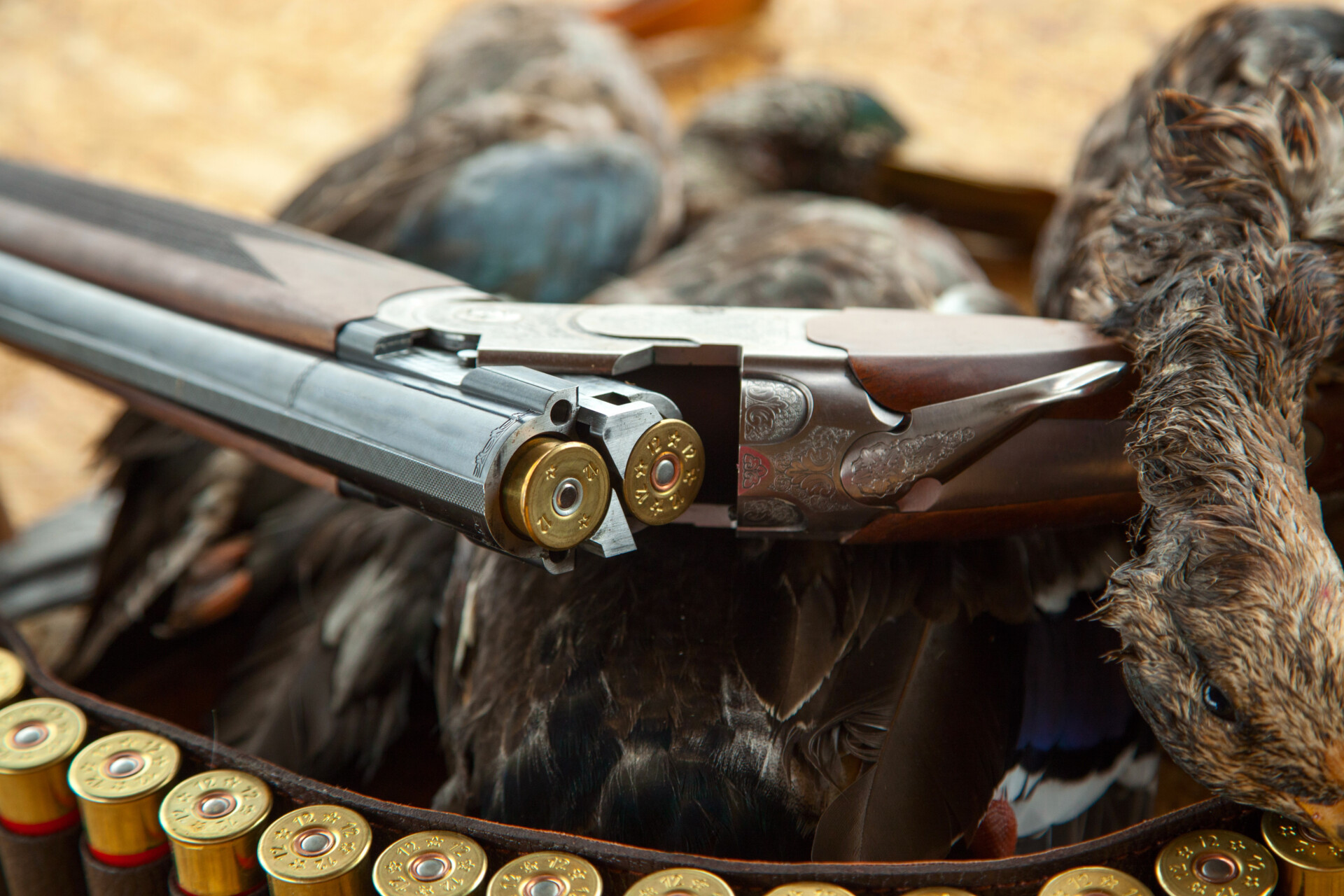 Northern California Goose Hunt for Five Hunters - Gerhart Outdoors